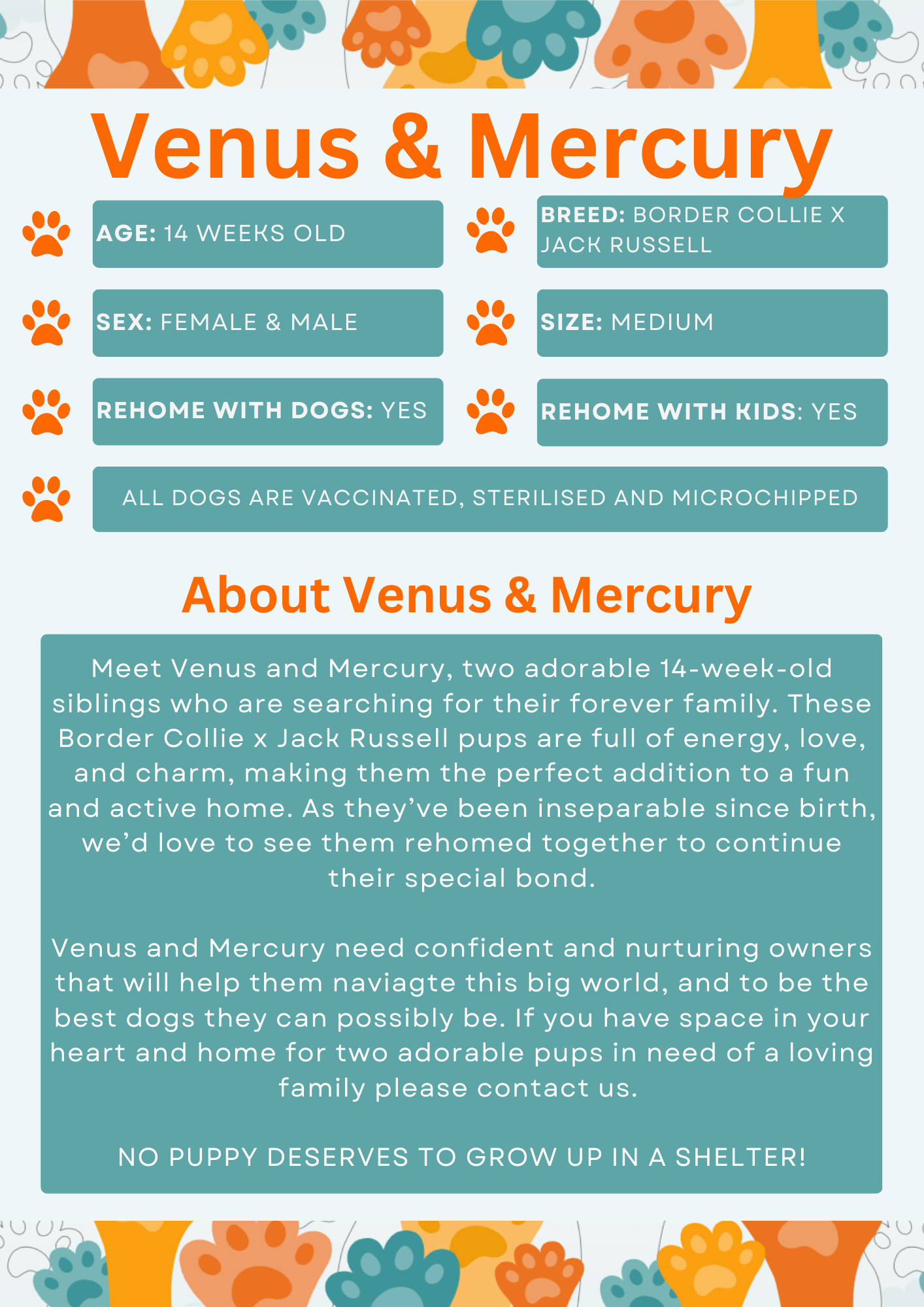 Venus & Mercury - Swan Animal Haven